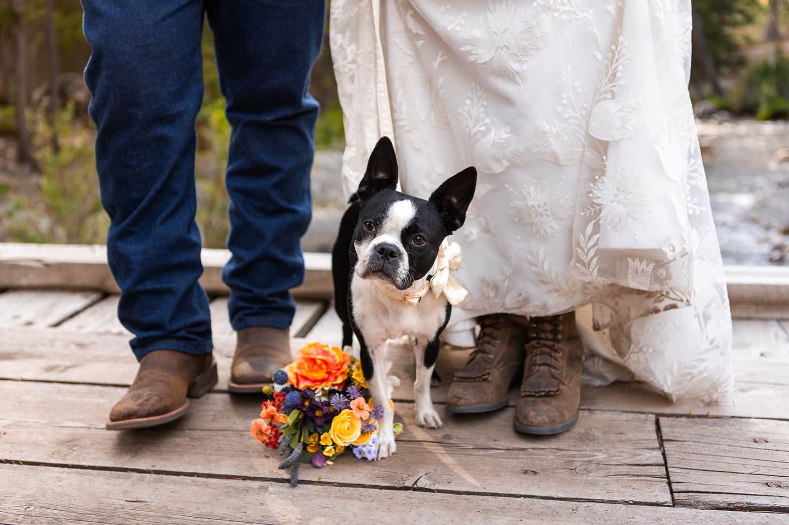 Elopement Timeline Creation Guide (with examples!) - Forever and Evergreens